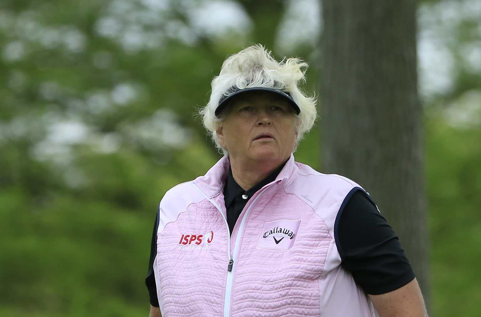 Dame Laura Davies names three players she expects to put pressure on ...