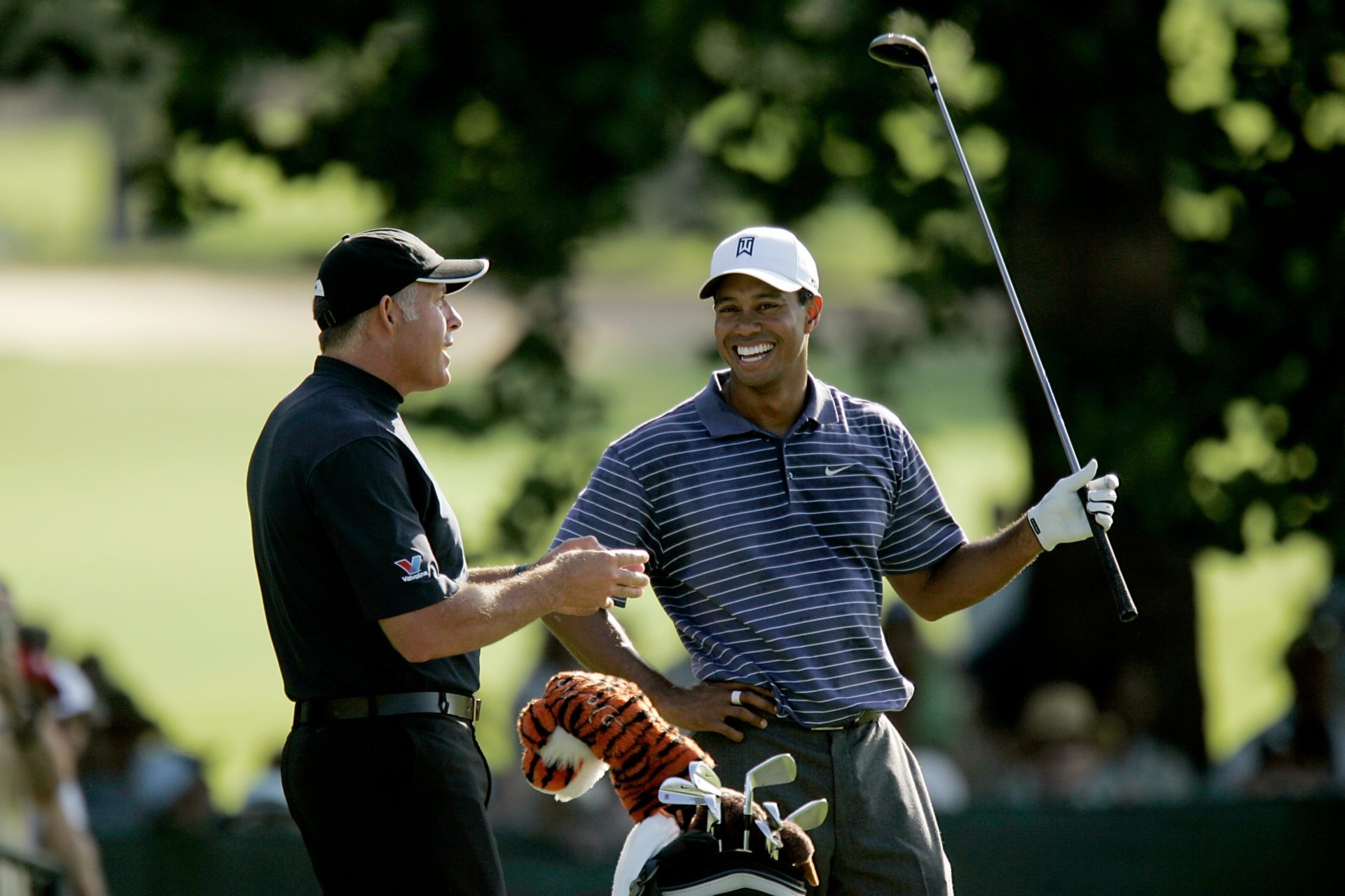 Steve Williams says Tiger Woods was the 'best player' ever at one part ...
