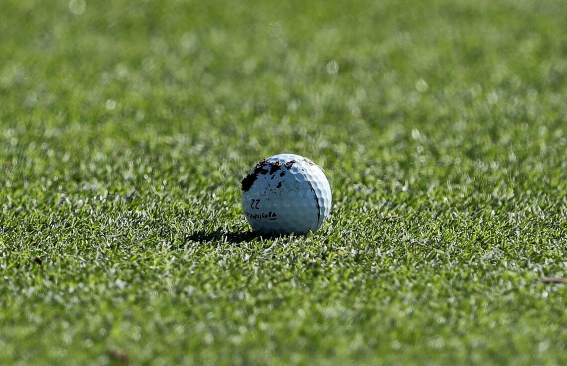Nick Faldo wants two specific golf clubs to be banned forever as he ...